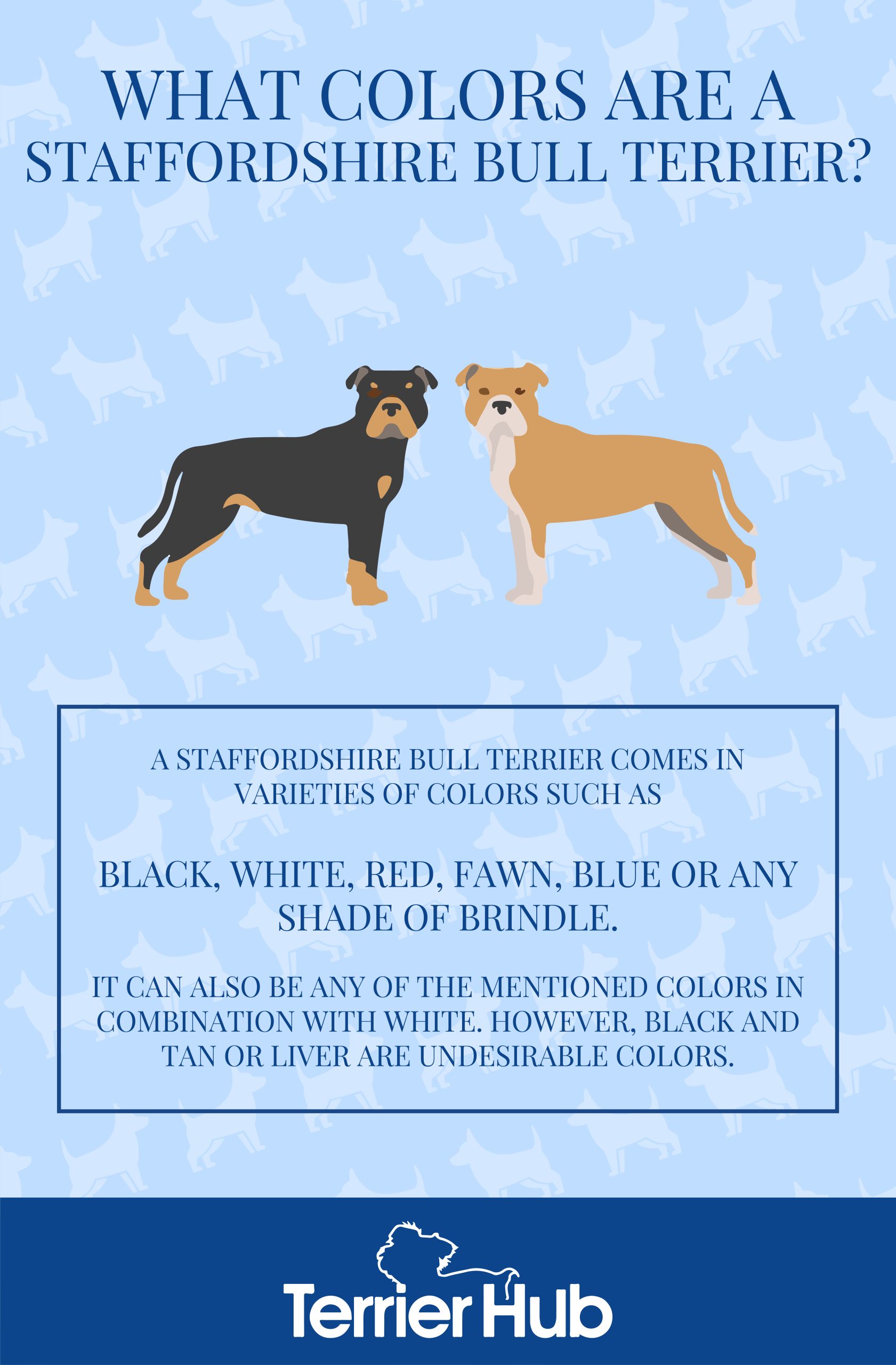What Colors are a Staffordshire Bull Terrier? | Terrier Hub
