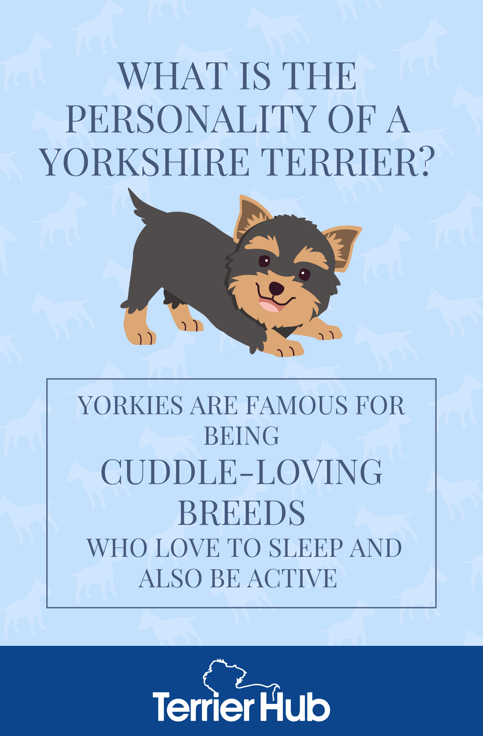 What Is the Personality of a Yorkshire Terrier? | Terrier Hub